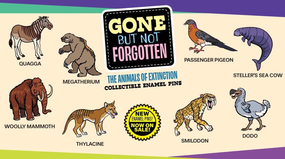 Peppermint Narwhal - Conservation Through Creativity | Peppermint ...