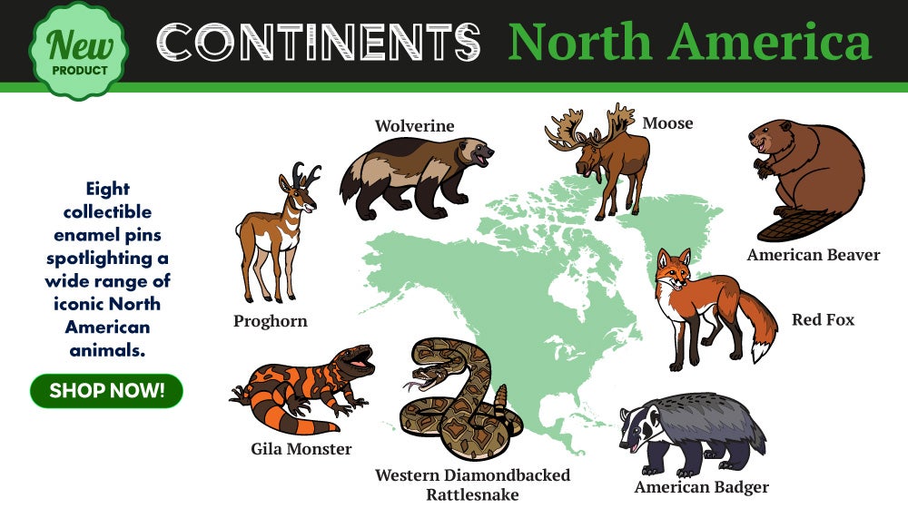 Peppermint Narwhal - Conservation Through Creativity | Peppermint ...