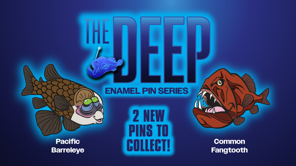 Peppermint Narwhal - Conservation Through Creativity | Peppermint ...