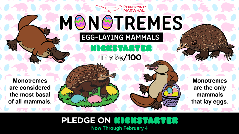 Peppermint Narwhal - Conservation Through Creativity | Peppermint ...