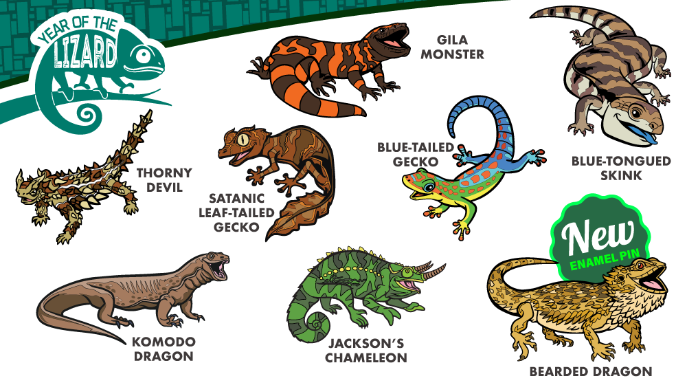 Peppermint Narwhal - Conservation Through Creativity | Peppermint ...